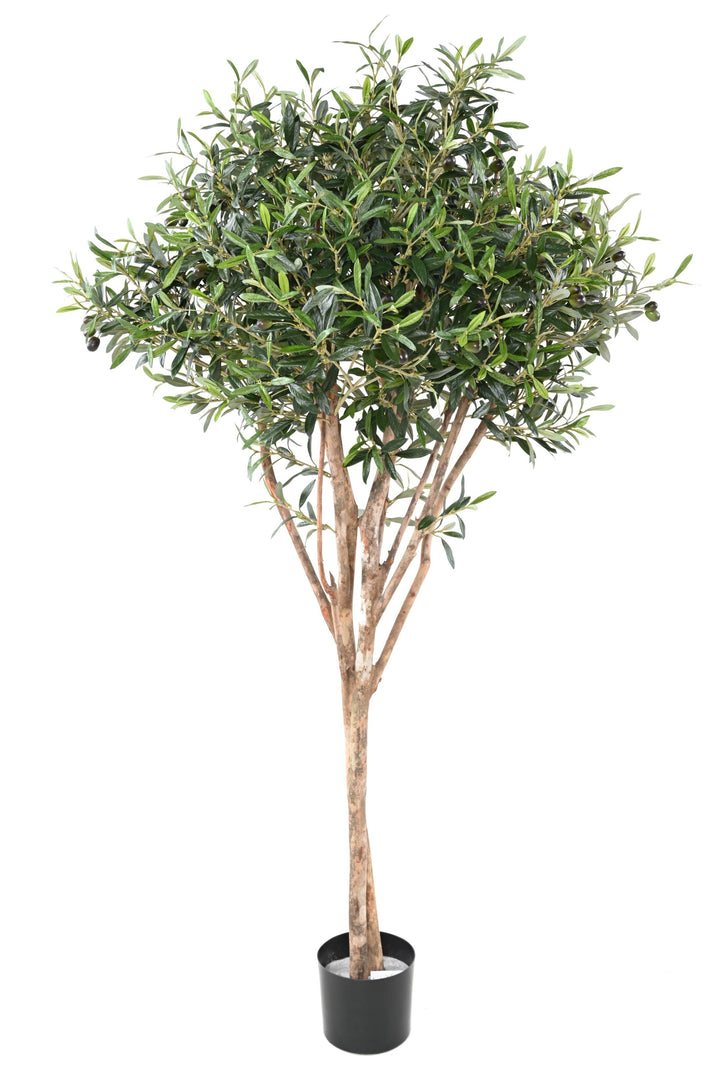 La Florie - Artificial Mediterranean Collection – LA FLORIE