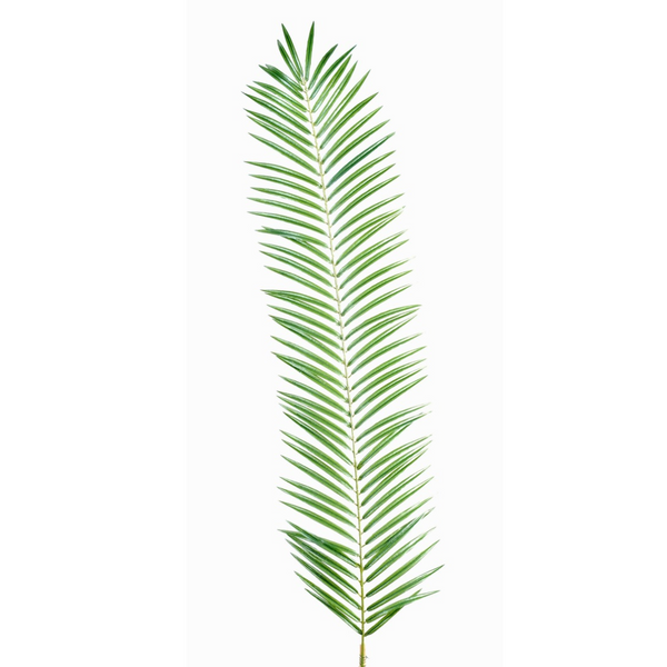 PHOENIX PALM SPRAY GM 110 – LA FLORIE