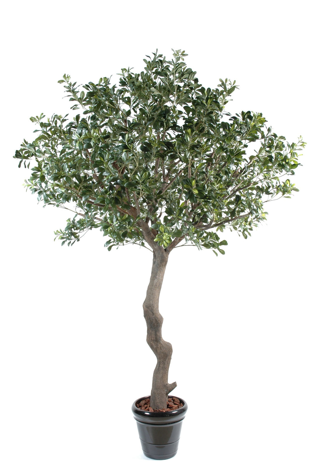 La Florie - Artificial plants and flowers – Page 9 – LA FLORIE